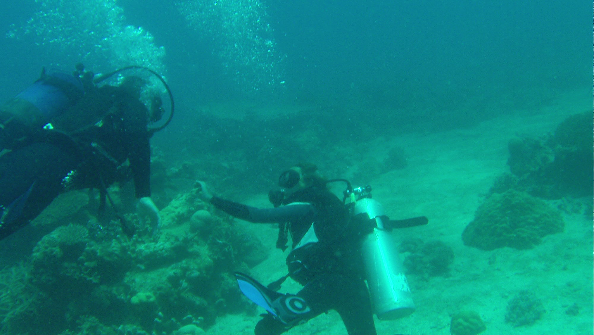 Passer son PADI Advanced Open Water Diver à Madagascar : des plongées ...